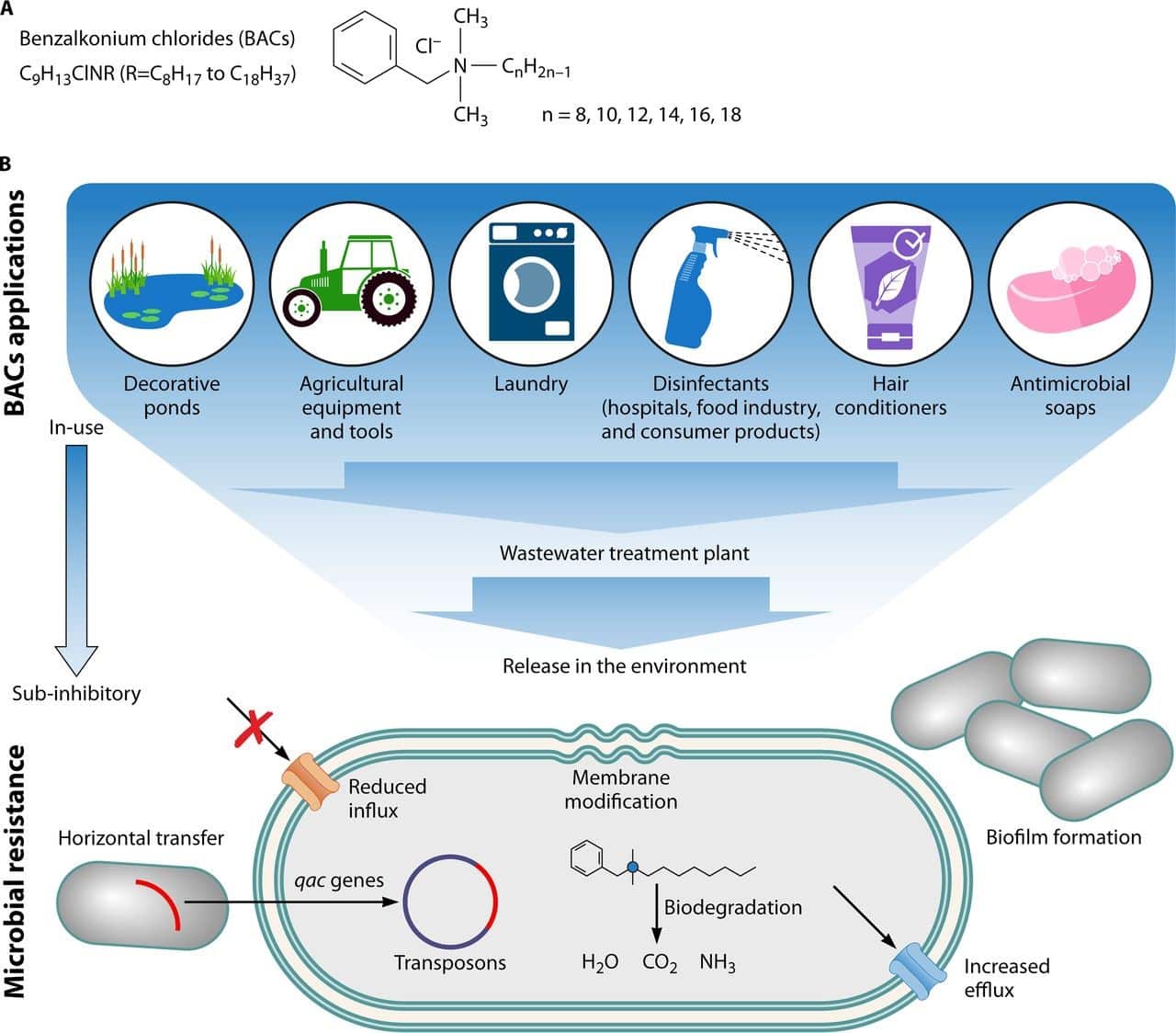 Benzalkonium chloride - Shanghai Chemex